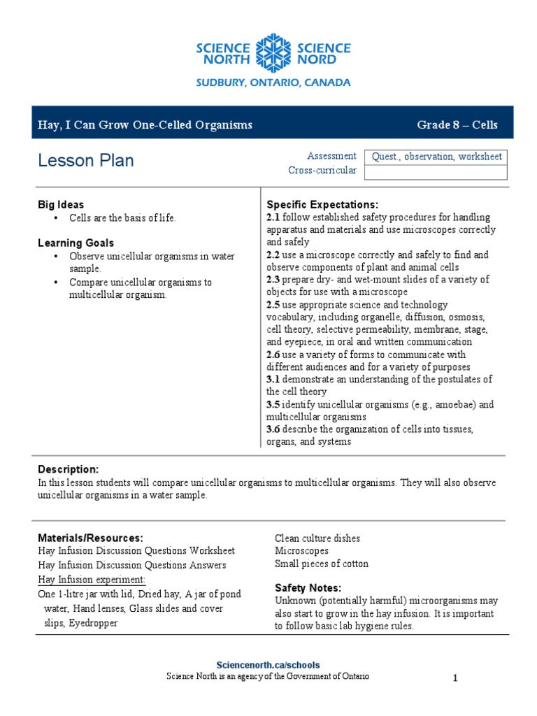 Unicellular vs. Multicellular Organisms | PDF | Cell (Biology ...