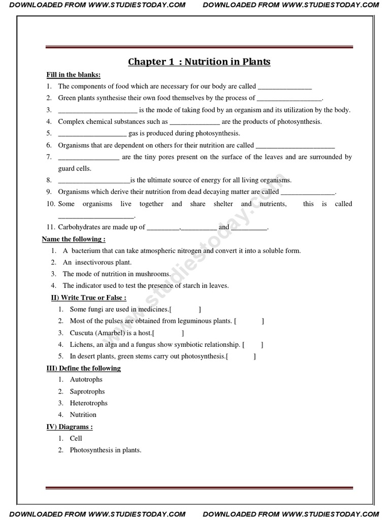 Chapter 1: Nutrition in Plants: Fill in The Blanks | Download Free PDF ...