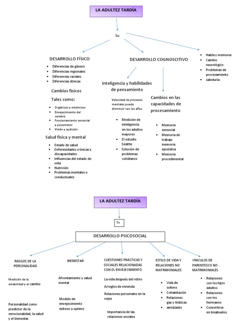 Mapa Conceptual Adultez Tardia | PDF | Adultos | Vejez