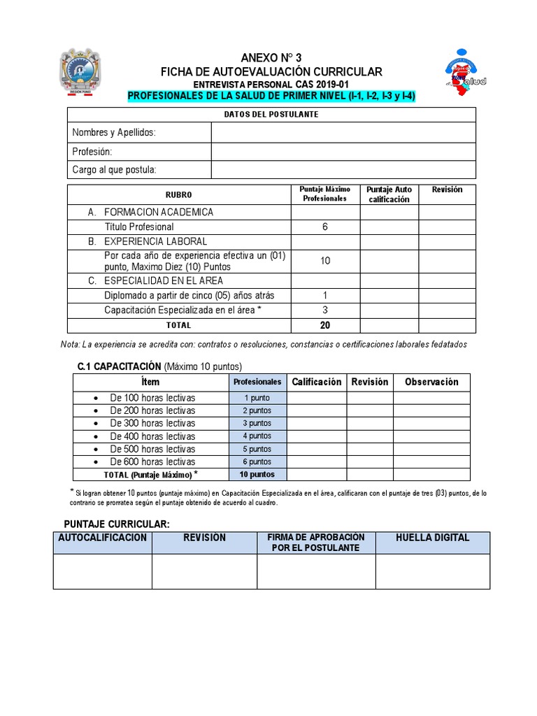 Anexo 3 Evaluacion CV Cas 2019-01 | PDF | Titulo academico | Educación ...