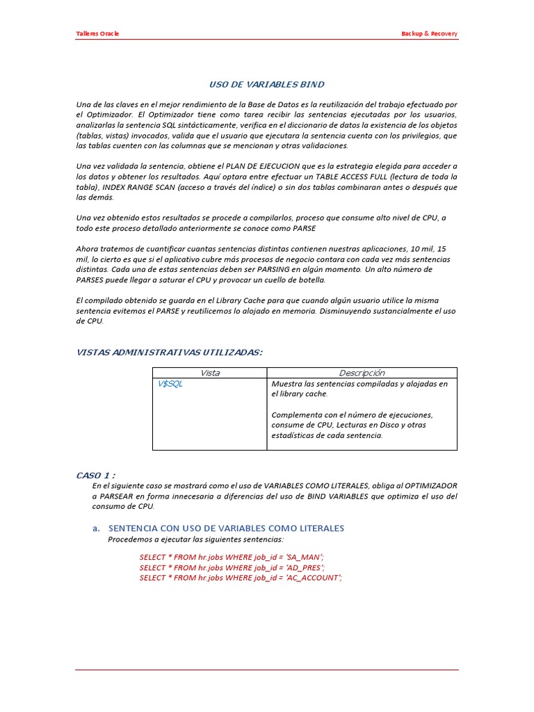 Nuevos - Gestión de Variables BIND | PDF | SQL | Unidad Central de procesamiento