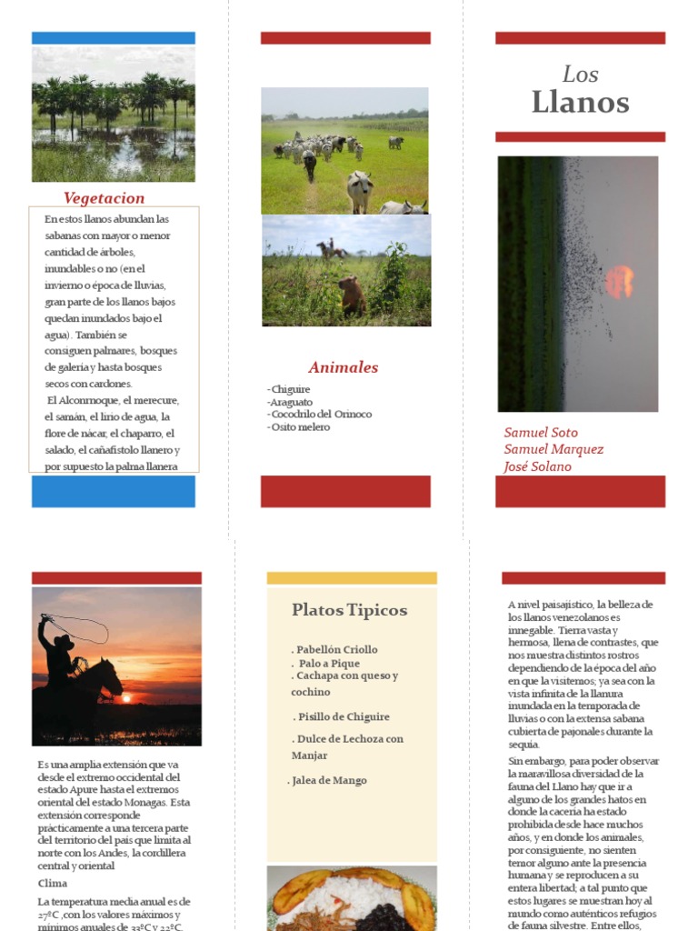 Los Llanos de Venezuela | PDF | Venezuela | Geografía Física