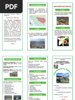 Triptico de Pasco | PDF | Alimentos | Naturaleza