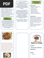 Triptico Queque Zanahoria | PDF | Cocina occidental | Comida regional y étnica