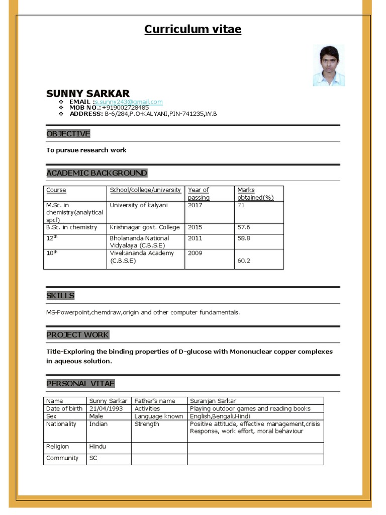 Curriculum Vitae: Sunny Sarkar | PDF