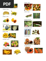 Animales Dosmesticos en Xinca | PDF | Cocina, comidas y vino