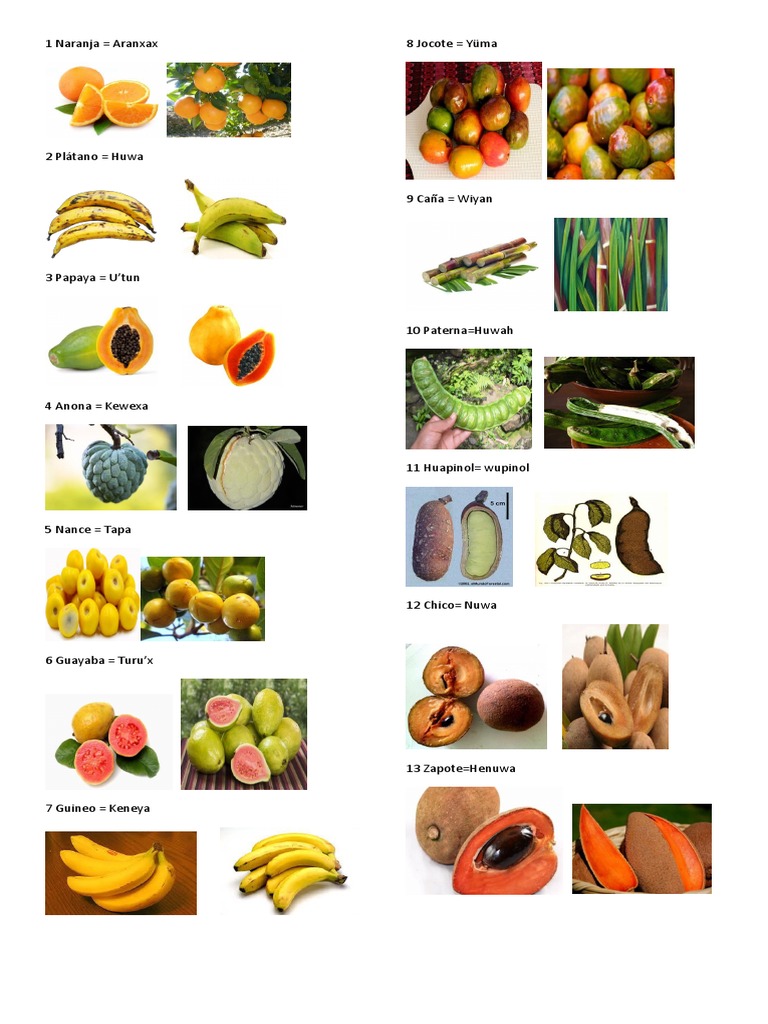 Frutas en idioma xinca | PDF | Cocina, comidas y vino | Hogar ...
