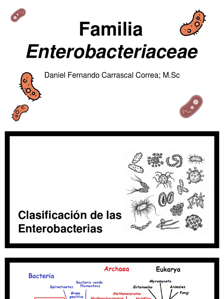 Clasificación y características de Enterobacterias | PDF