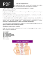 Historia Clinica MSP | PDF | Imagenes medicas | Cuidado de la salud