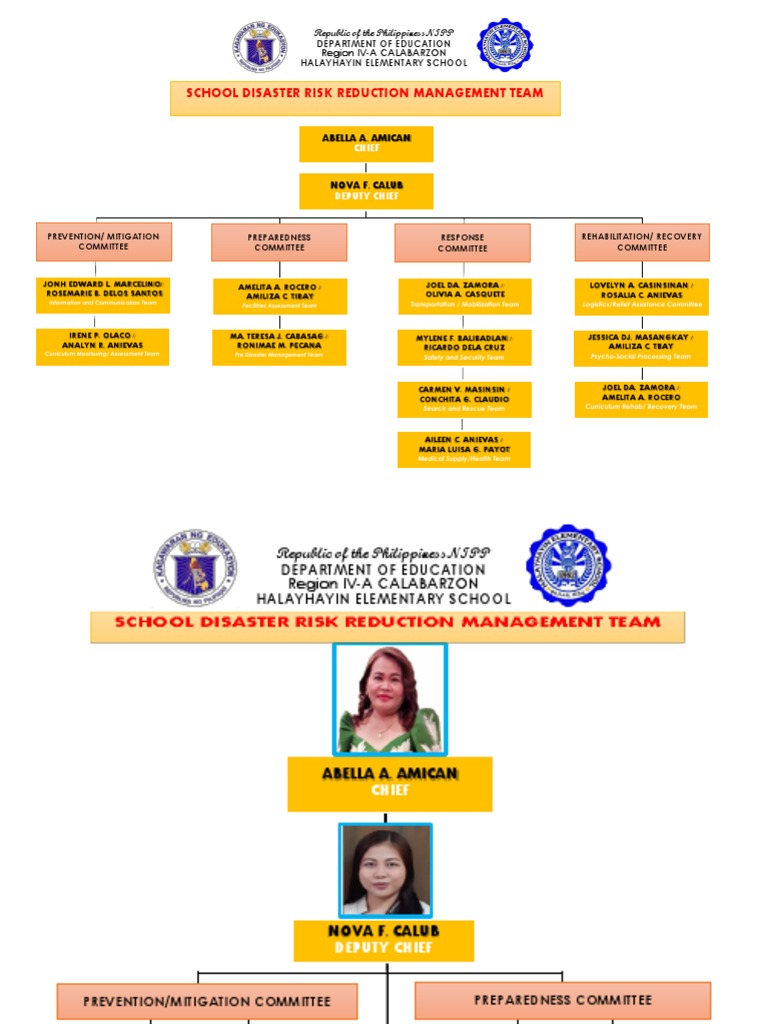 SDRRM Team | PDF | Emergency Management | Safety