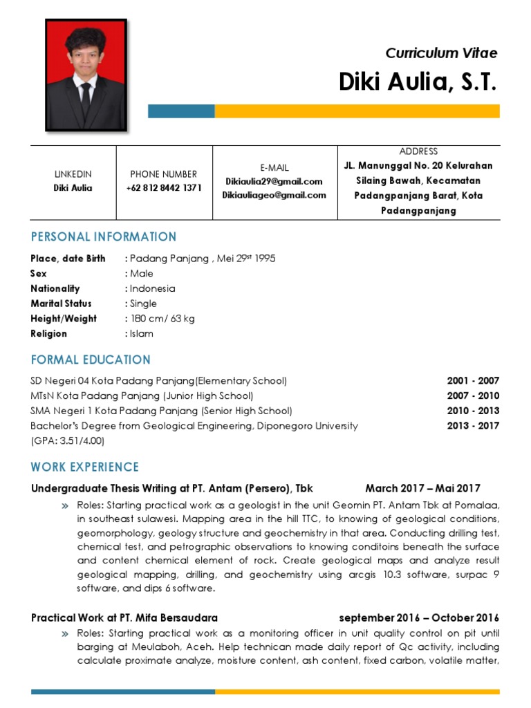 CV Diki Aulia | PDF | Arc Gis | Geology