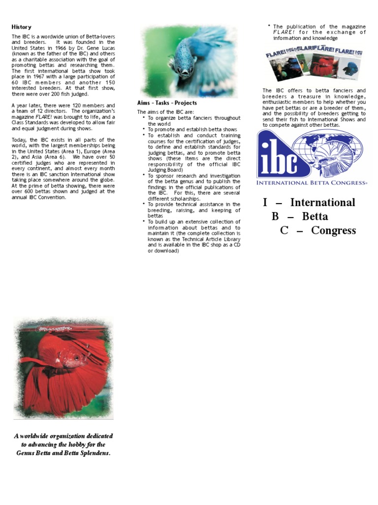 IBC English Region Flyer | PDF | Business