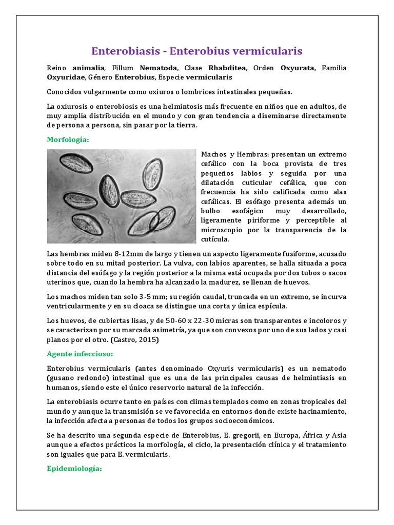 Enterobiasis - Enterobius Vermicularis | PDF | Epidemiología | Ciencias ...