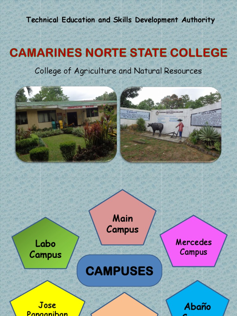 Microteaching TM | PDF | Behavior Modification | Learning