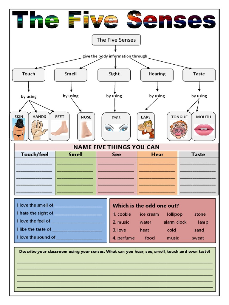 Five Senses Exploration Activities | PDF