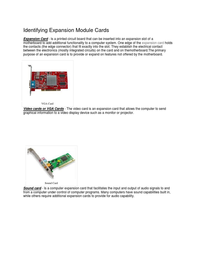 Understanding Computer Expansion Cards | PDF | Computer Virus ...