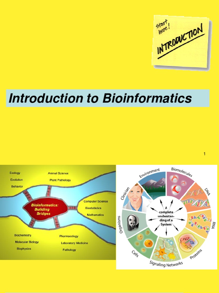 Bioinformatics | PDF | Bioinformatics | Dna