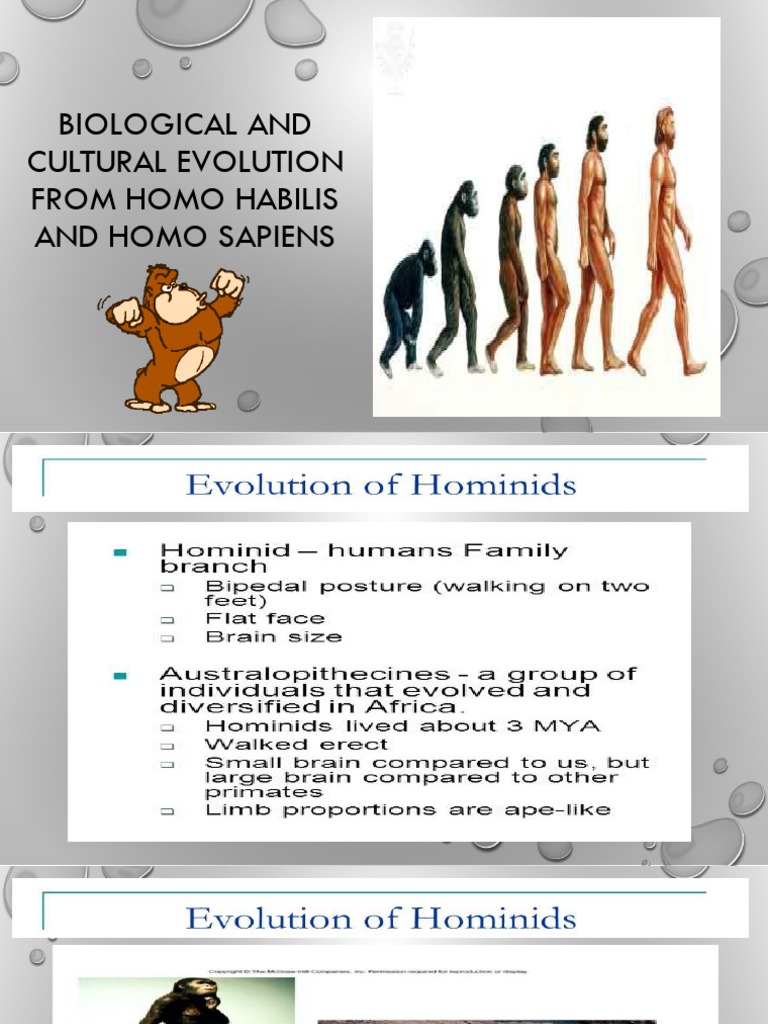 Biological and Cultural Evolution | PDF