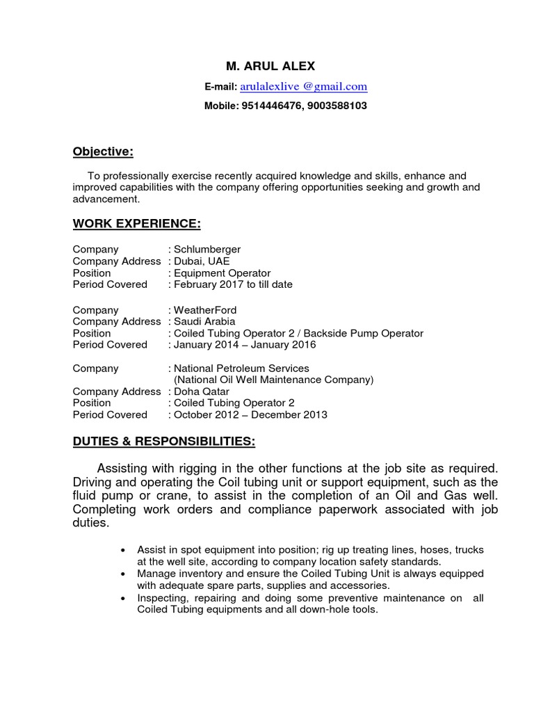 Arul Alex CV | PDF | Oil Well | Nature