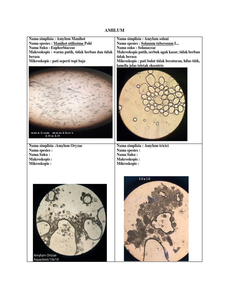 Tabel Gambar Simplisia | PDF