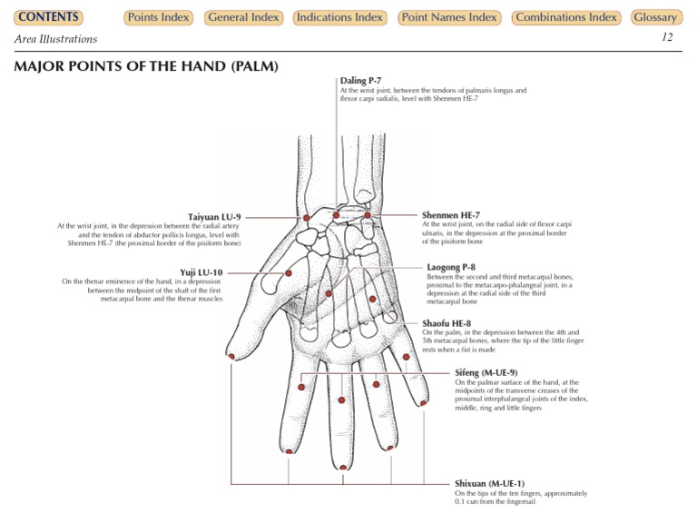 Hand (Palm) | PDF | Hand | Finger