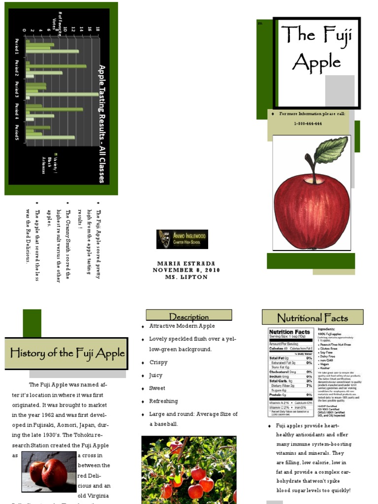 Estrada Maria Apple Brochure | PDF | Apple | Mali