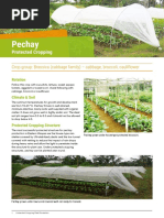 Pechay Production | PDF | Sowing | Organic Farming