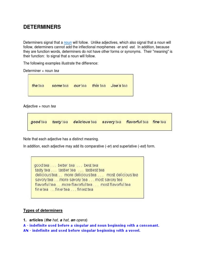 Determiners | PDF | Grammatical Number | Noun