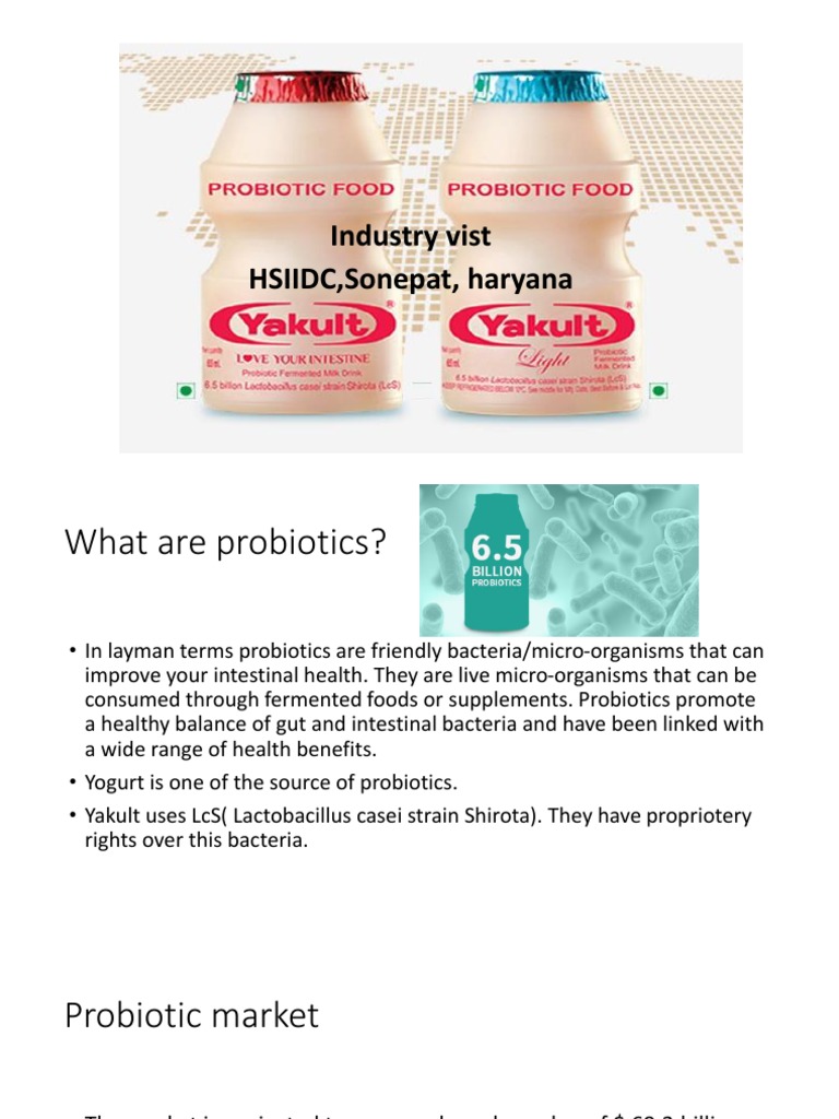 Yakult | PDF | Probiotic | Gut Flora