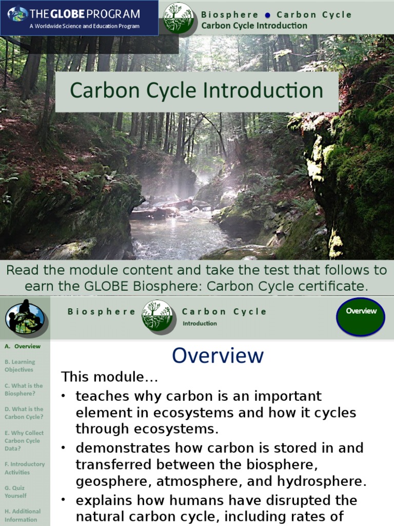 Carbon Cycle Introduction | PDF | Carbon Cycle | Carbon Dioxide In ...