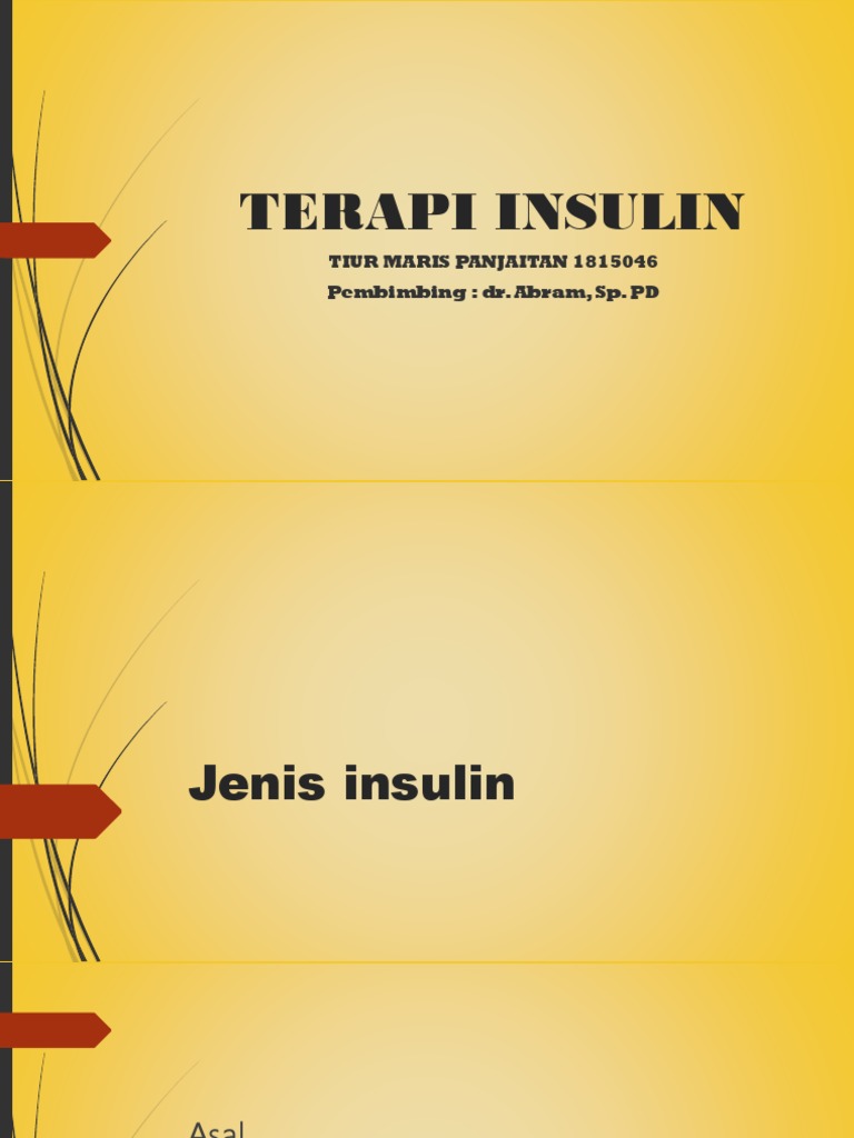 Terapi Insulin | PDF