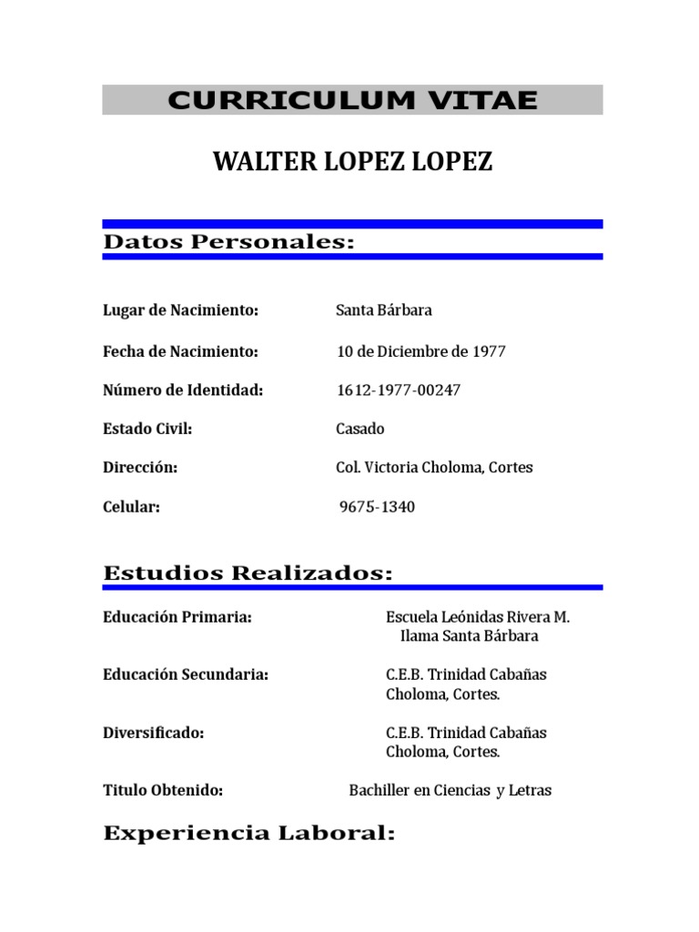 Curriculum Walter | PDF