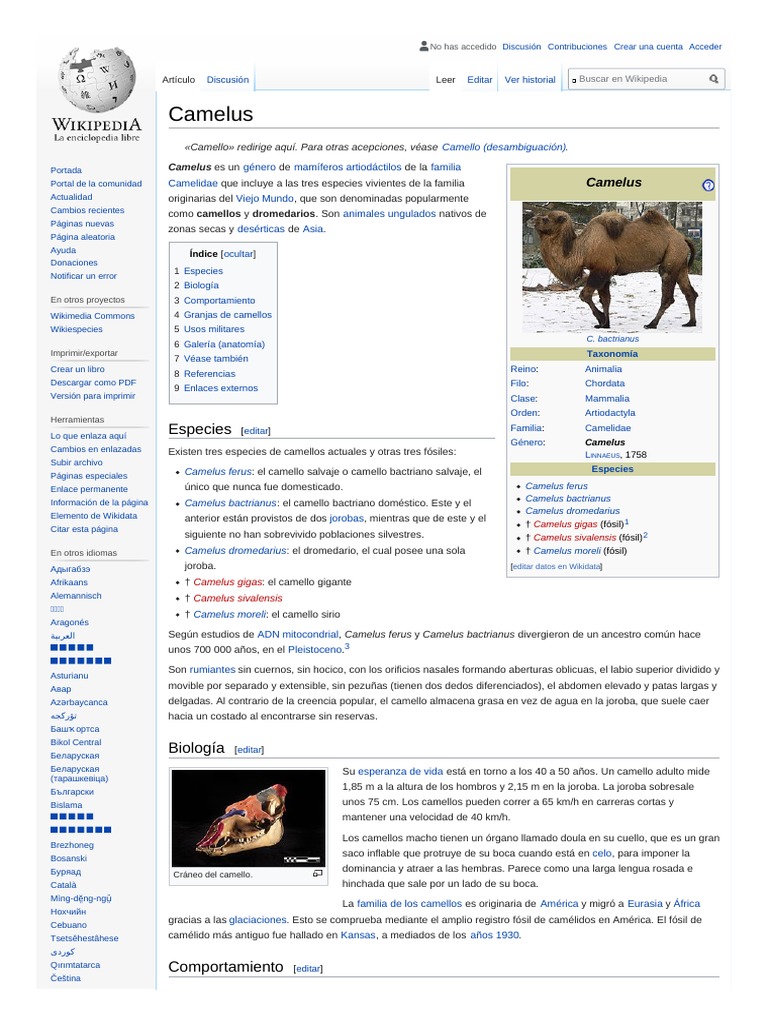 Camello | PDF | Camello | Etnobiología