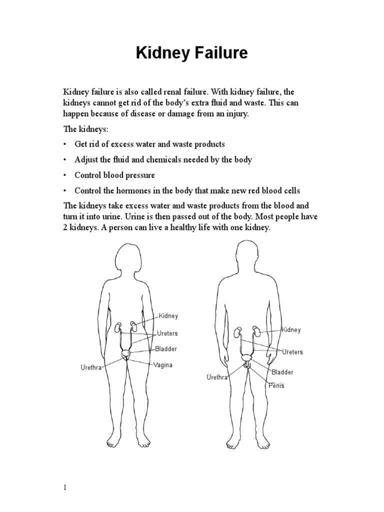 Kidney Failure TAG PDF | PDF | Kidney | Chronic Kidney Disease