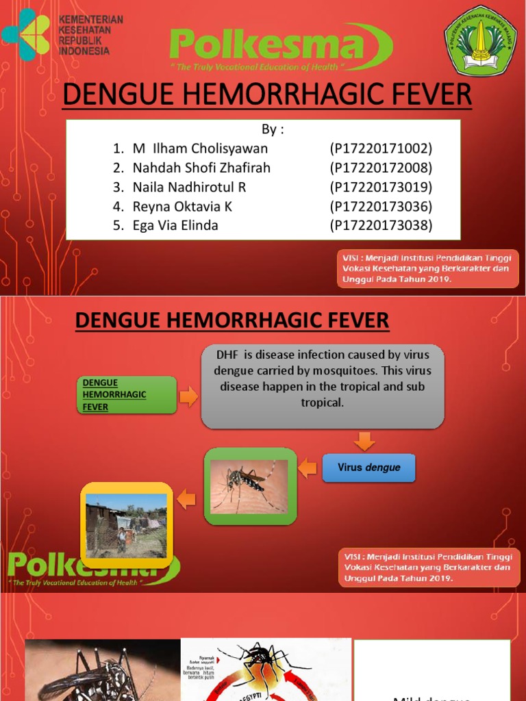 Understanding Dengue Hemorrhagic Fever | PDF