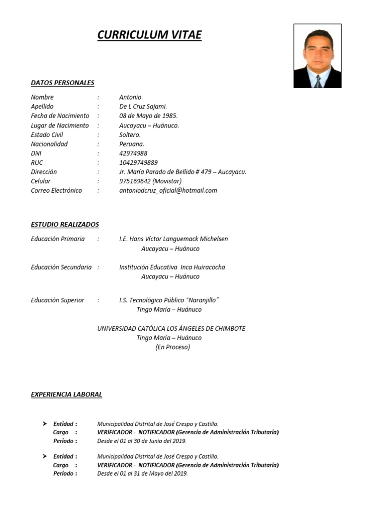 Curriculum Municipalidad | PDF | Gobierno | Educación avanzada