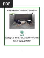 Piggery Project Report for Odisha | PDF | Pig | Agriculture