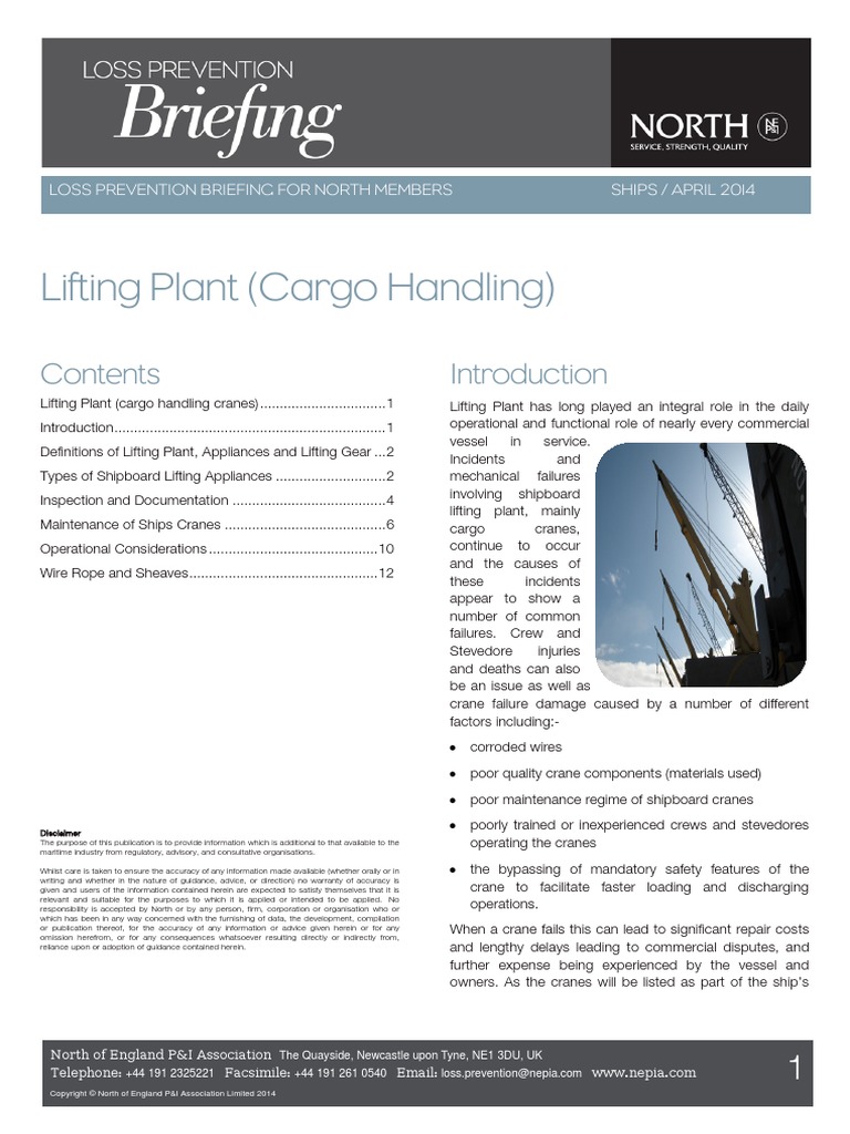 Lifting Plant LP Briefing | PDF | Crane (Machine) | Bearing (Mechanical)