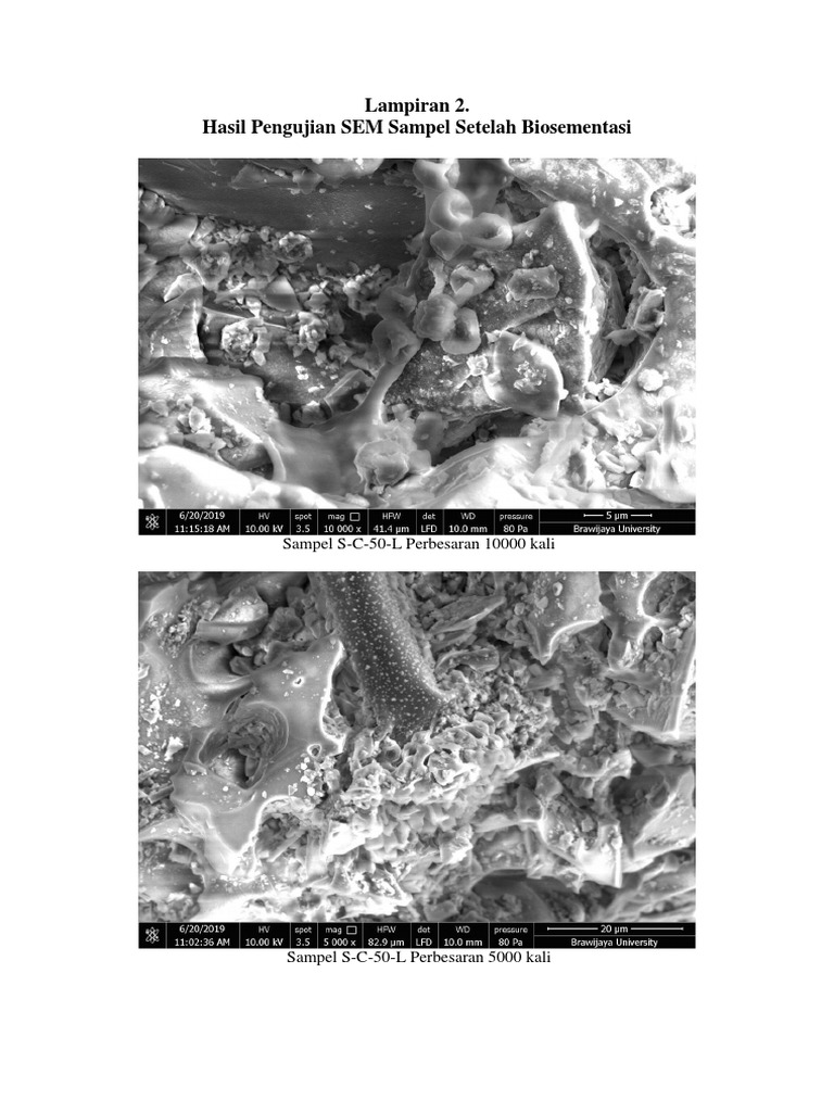 Contoh Hasil Uji SEM | PDF