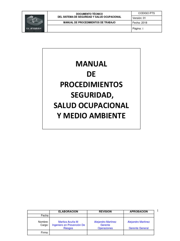 Manual Procedimientos de Trabajo Seguro | PDF | Seguridad y salud ocupacional | Bienestar