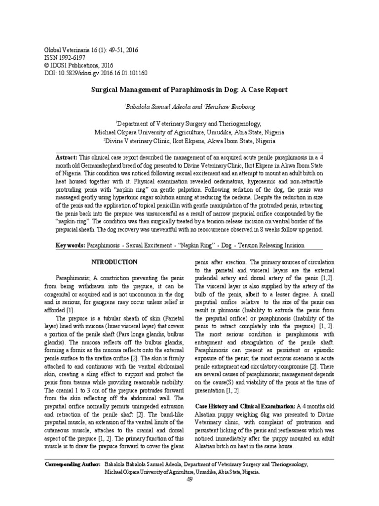Surgical Paraphimosis | PDF | Penis | Surgery
