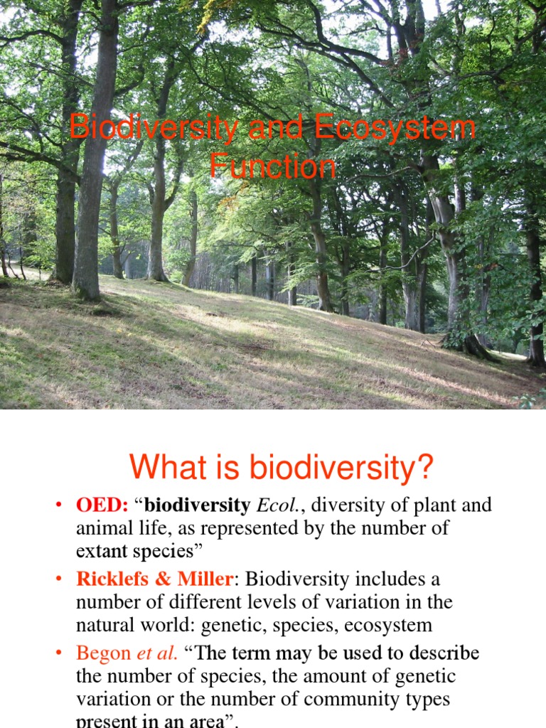 Biodiversity and Ecosystem Function | PDF | Biodiversity | Ecosystem
