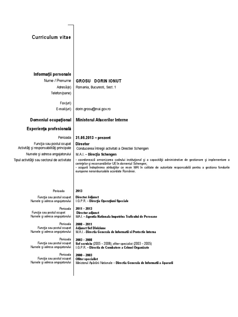 CV Bun Dorin Ionut Grosu PDF | PDF