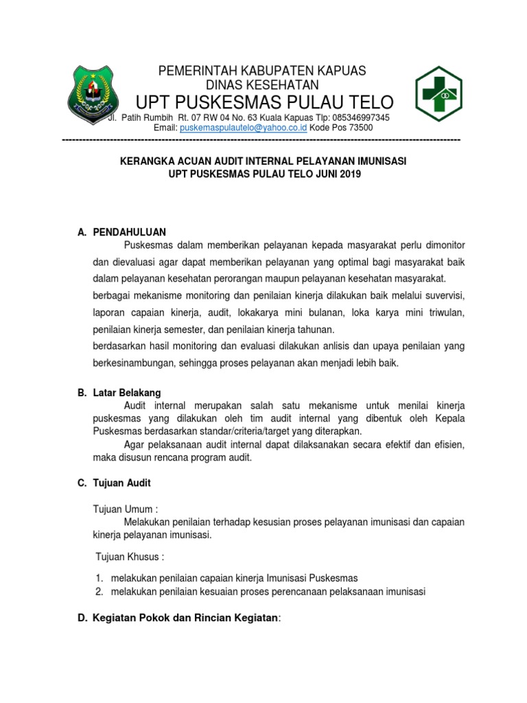 KAK Audit Internal Imunisasi 2019 | PDF