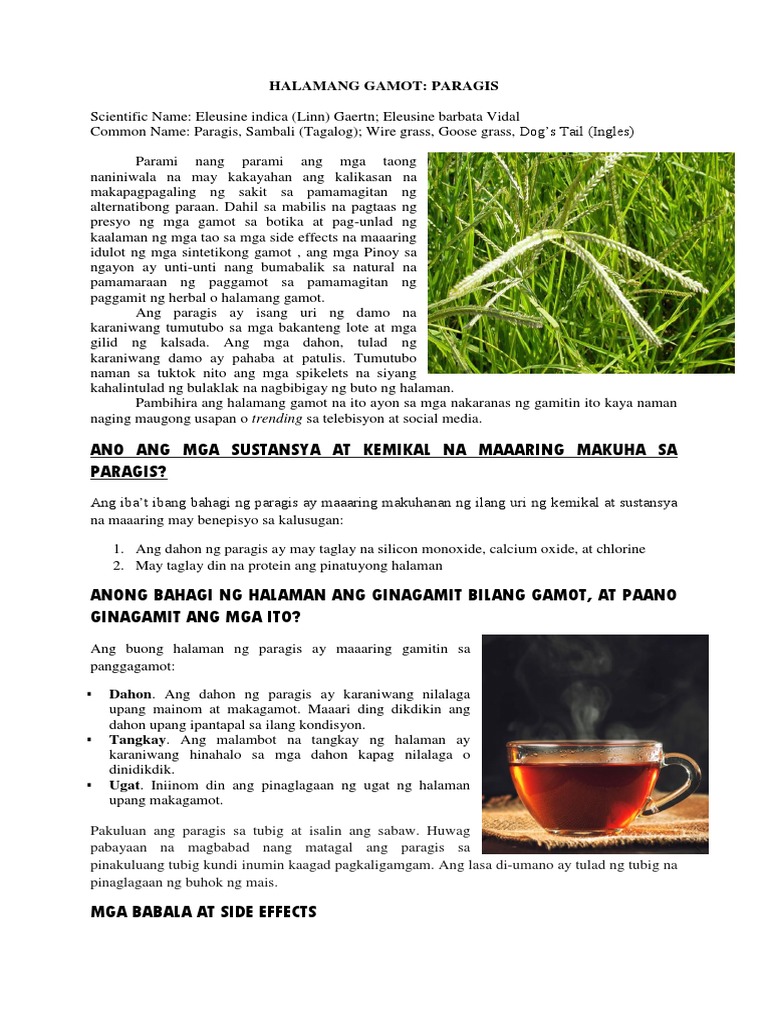 Halamang Gamot, Paragis | PDF