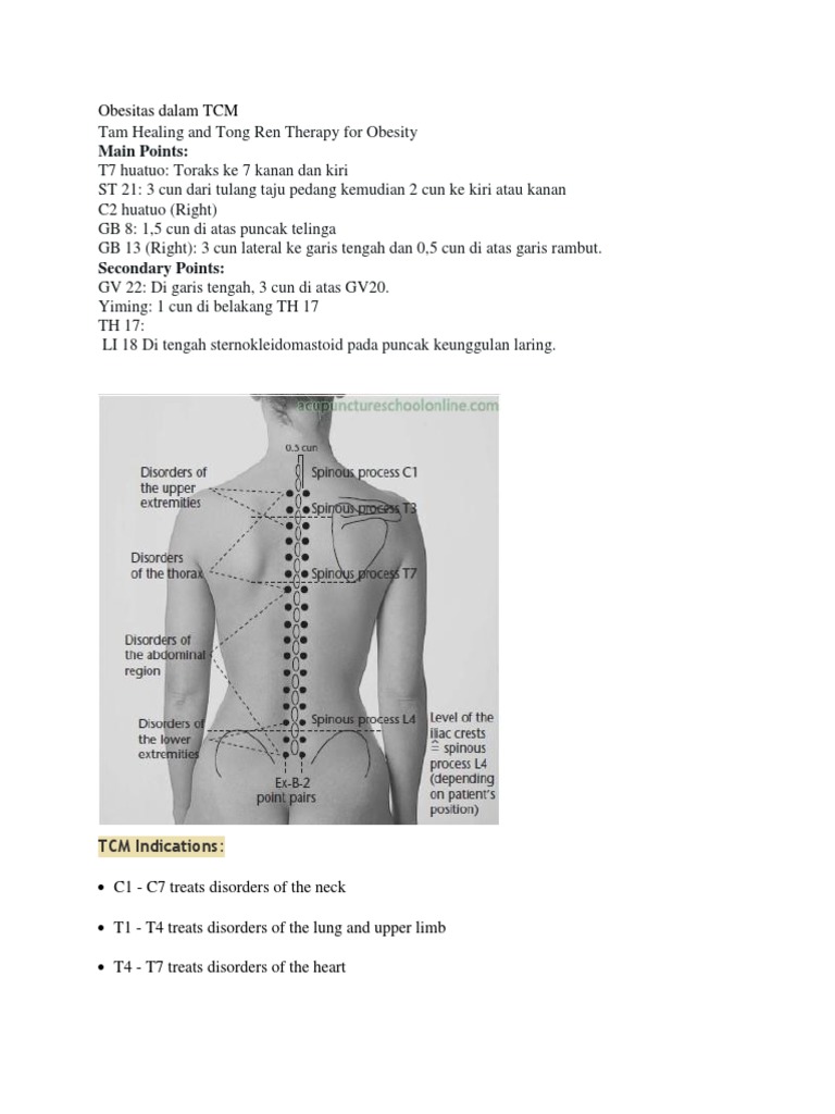 TCM Obesity Treatment Using Tam Healing and Tong Ren Therapy | PDF