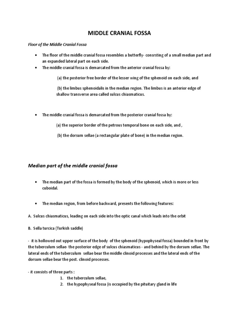 Middle Cranial Fossa | PDF | Primate Anatomy | Skeletal System