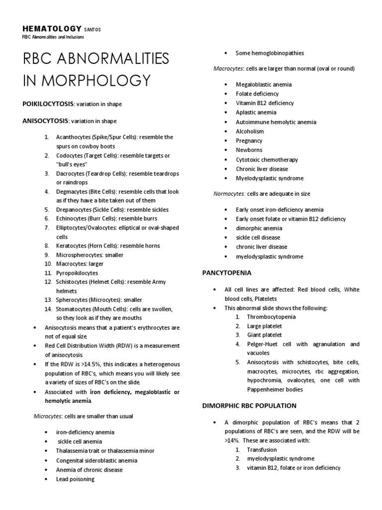 RBC Abnormalities and Inclusions Guide | PDF | Anemia | Red Blood Cell