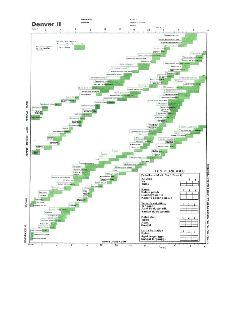 Formulir Ddst II Denver Development Scre