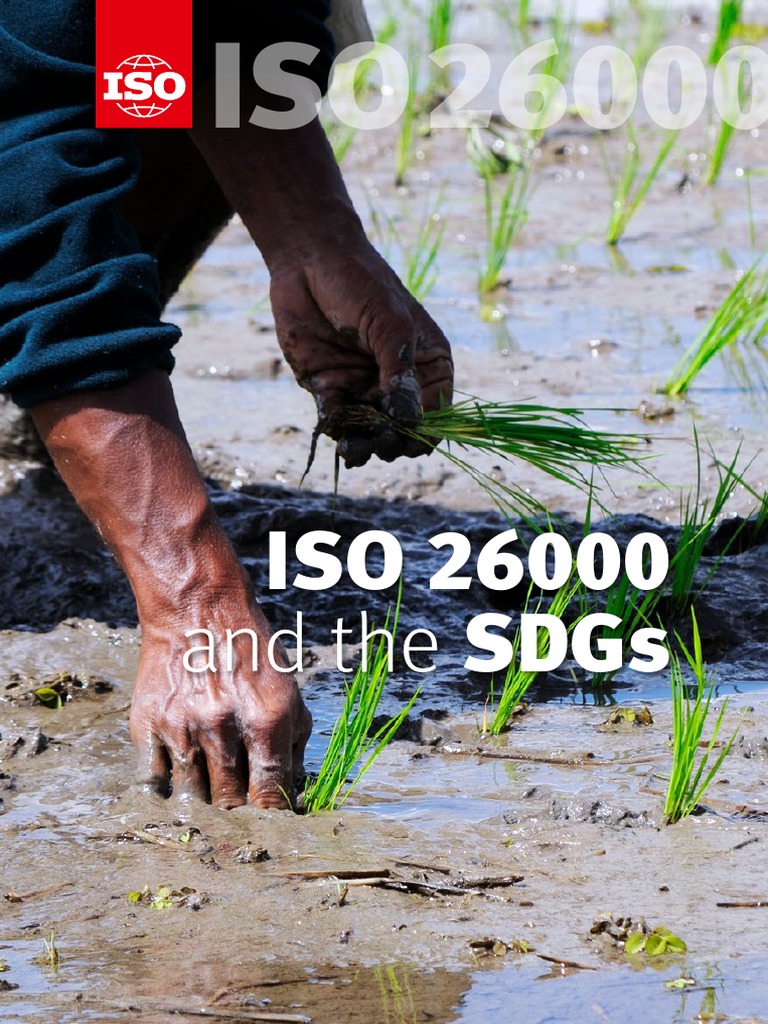 Iso 26000 | PDF | Sustainability | Sustainable Development